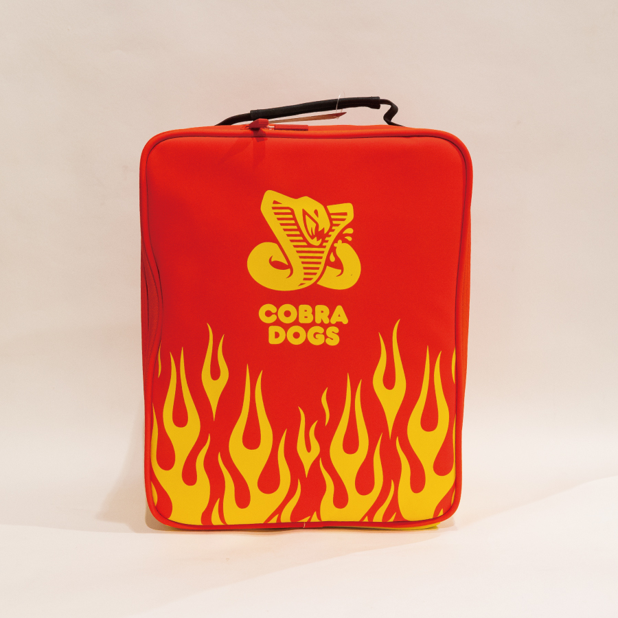 22-23 UNION(ﾕﾆｵﾝ)・COBRA DOGS [レイトモデル] [RED/YELLOW] ≪商品一覧≫